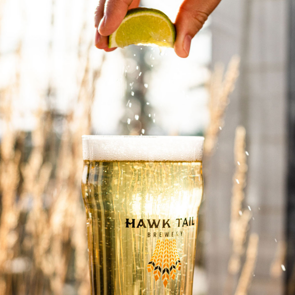 Cerveza – Hawk Tail Brewery